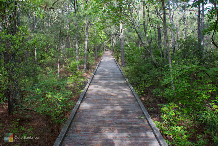 Currituck Banks Coastal Estuarine Reserve - Currituck.com