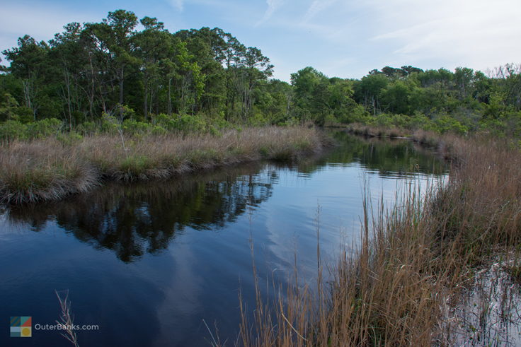 Currituck Banks Coastal Estuarine Reserve - Currituck.com